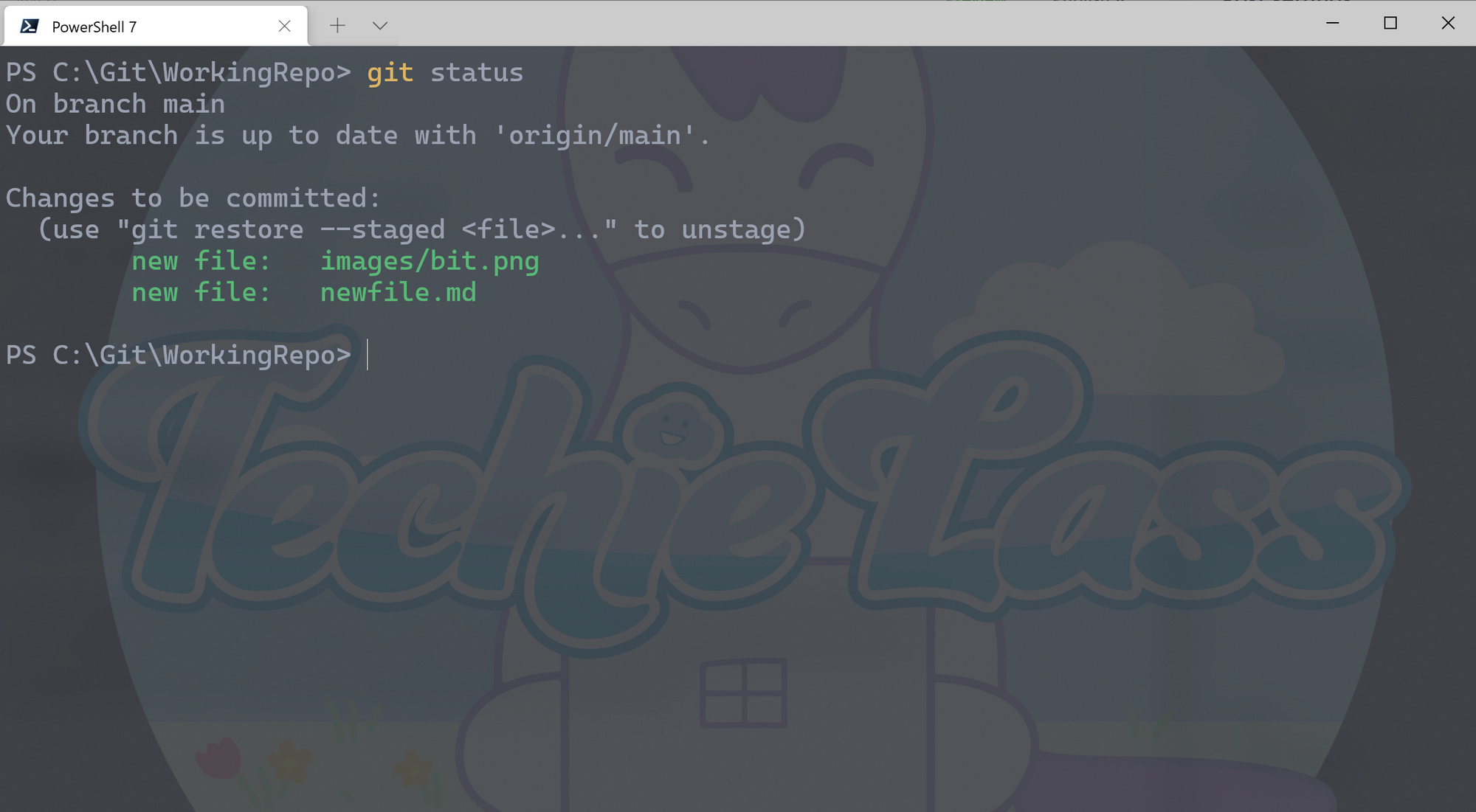 Use The Git Status Command