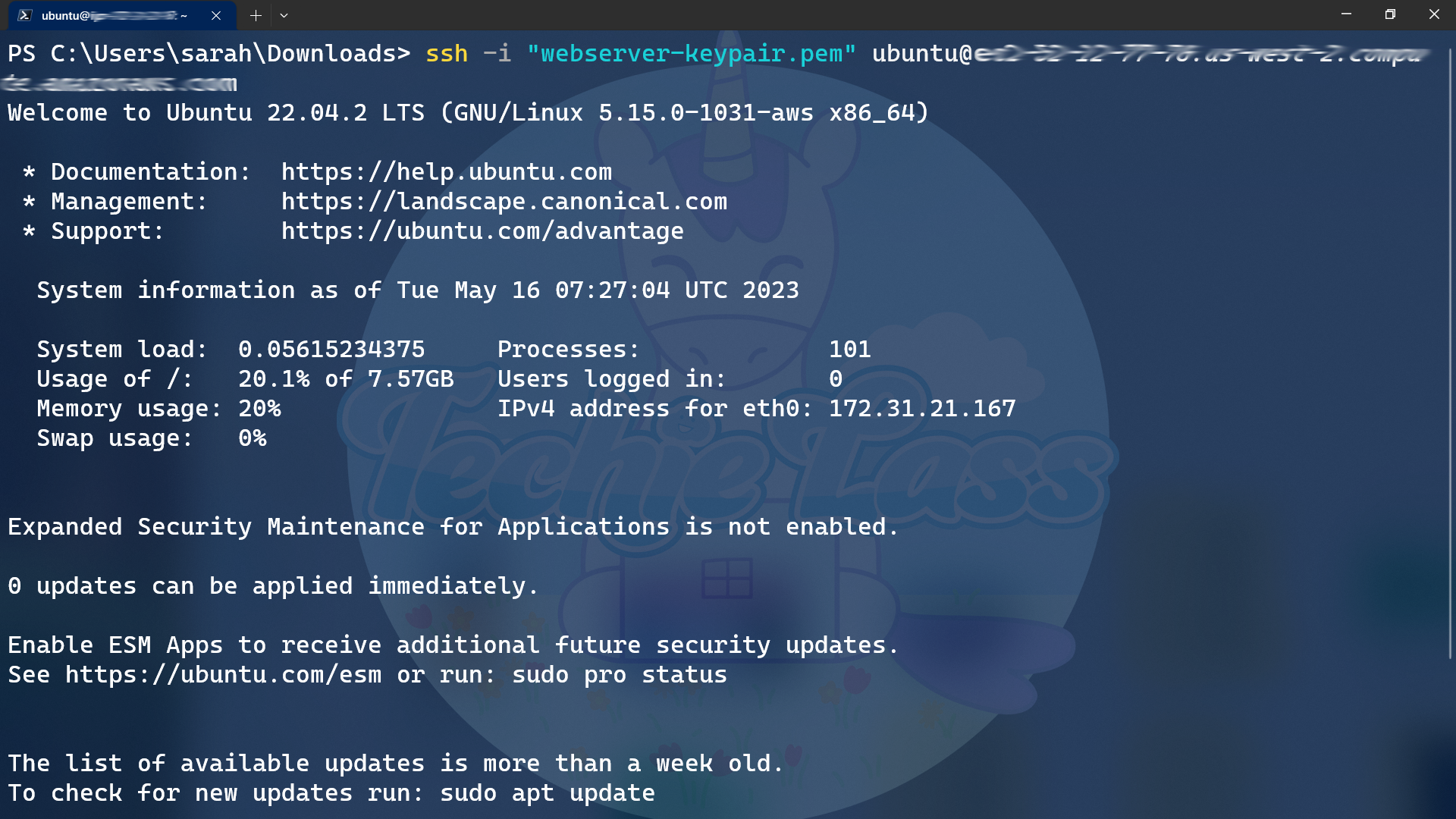 Register and Manage Linux Servers with Azure Arc Tutorial